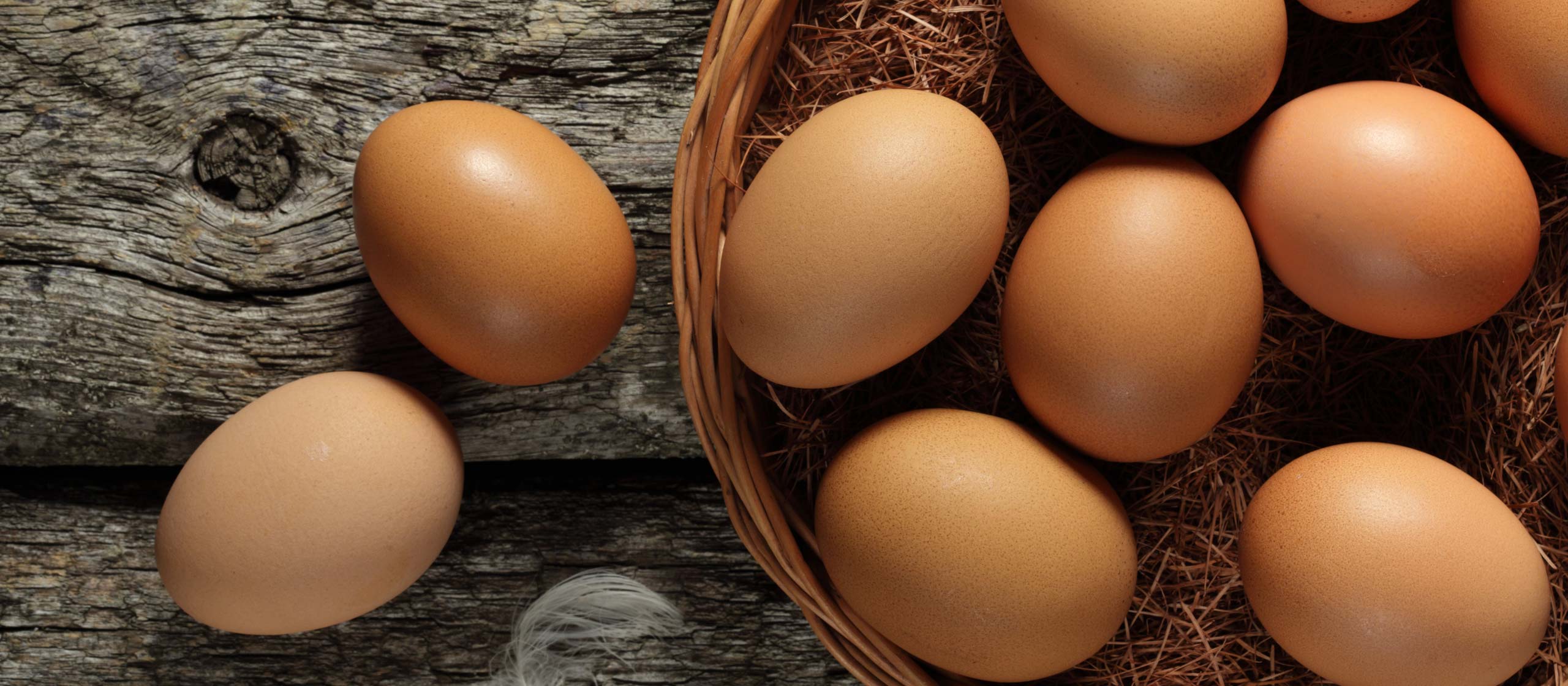 Home - Bumble Hole Foods